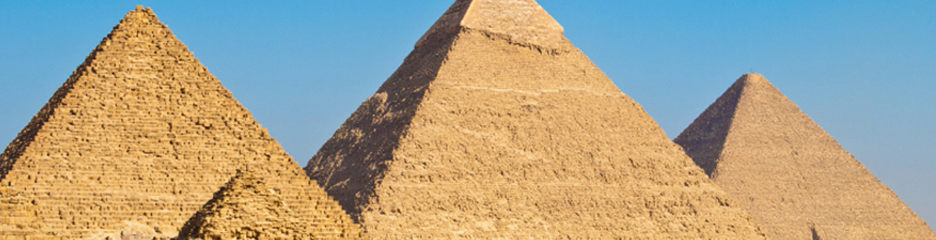 The Feint - 1979 - The Days Forward