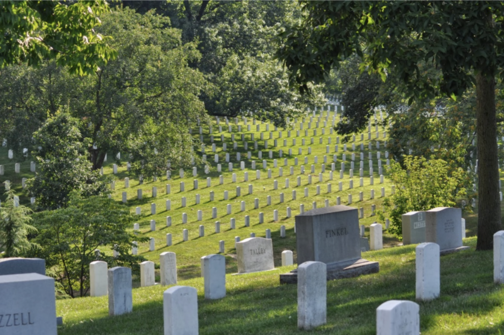 A Semi-final Resting Place, Part 1 - 2018 - The Days Forward